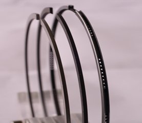 Custom Engine Piston Rings Manufacturers & Supplier | Hearten